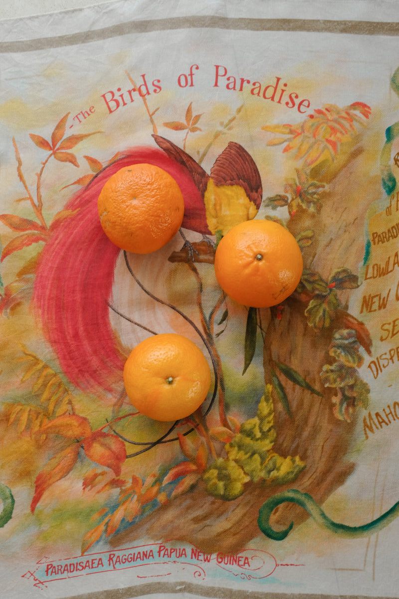 2025 – Runaway Bicycle